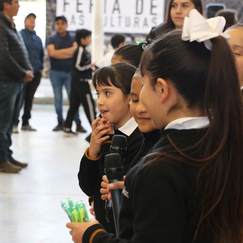 Primaria – Instituto Cedrus